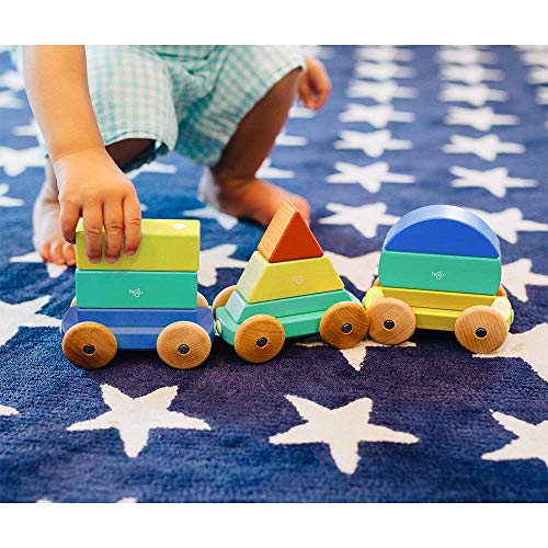 9 Piece Tegu Magnetic Shape Train Building Block Set, Rainbow