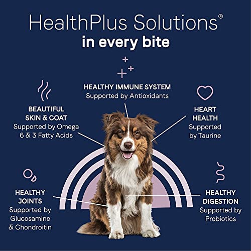 Canidae Pure Real Bison, Lentil & Carrot Recipe Adult Dry Dog 21 LB
