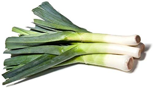 Leek Seed, American Flag, Non GMO, 100 Seeds, Heirloom Crisp Sweet Flavor Great Tasting, Perfect for Soups, Leak, Leaks, Leeks