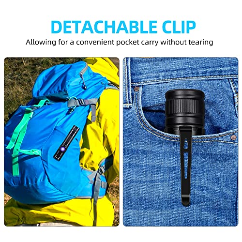 DARKBEAM UV Flashlight 365nm & 395nm Blacklight Rechargeable USB, Wood’s Lamp Ultraviolet Black Light LED Portable with Clip - Detector for Pet Cat Urine, Stains, Resin Curing, Uranium Glass, 2 Pack