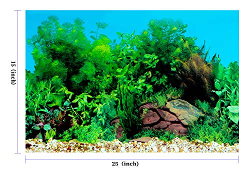 LENDAWAY New Undersea Coral, Seaweed Background Aquarium Background Decoration 25 x 15(inch)