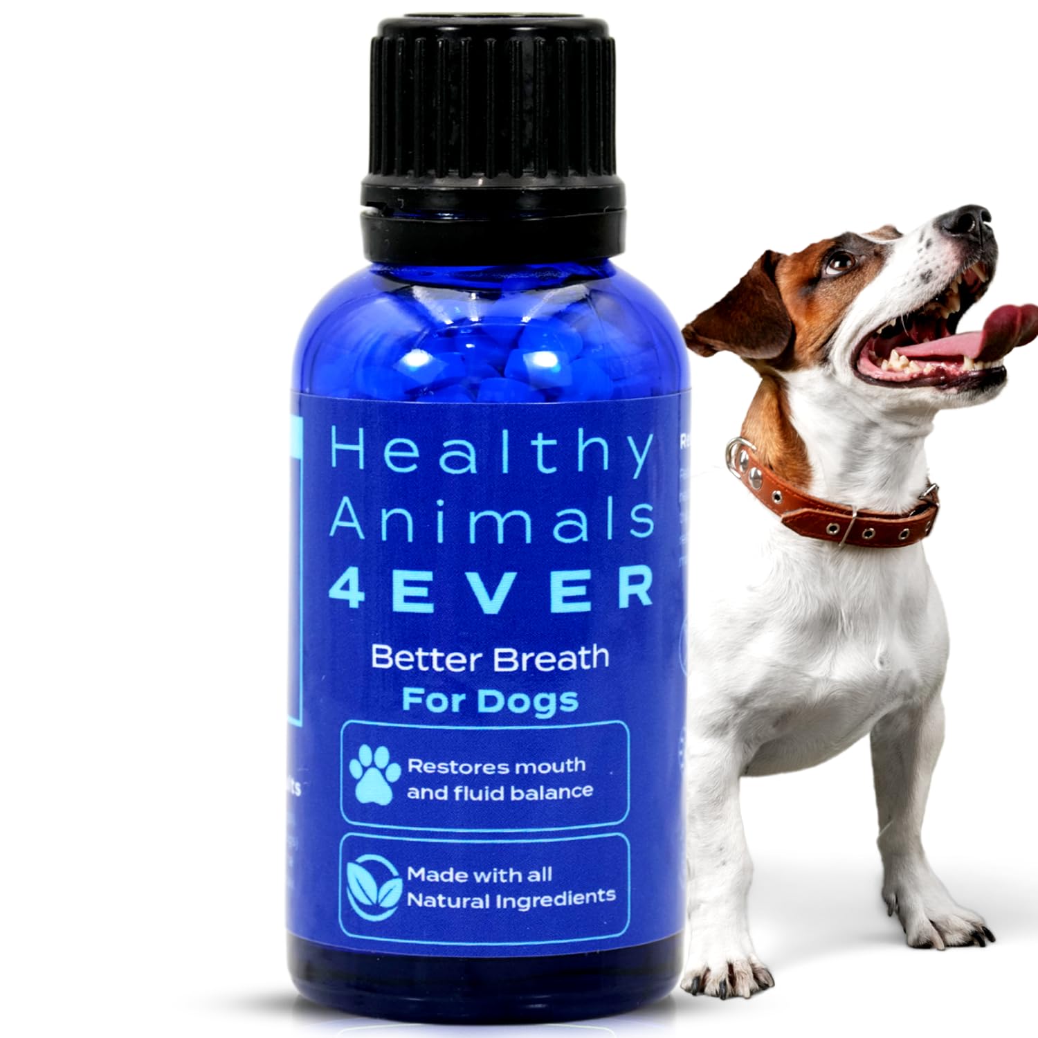 HealthyAnimals4Ever Bad Breath for Dogs Pellets - Dissolvable - No Brushing - for Clean Teeth, Plaque & Tartar Control - All-Natural, Non-GMO, Organic - Preservative & Chemical Free - 300 ct