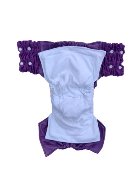 Night Time Washable Cloth Pull Up Diapers for Toddlers and Preschoolers, Ages 2 Years to 6 Years (Purple Large)