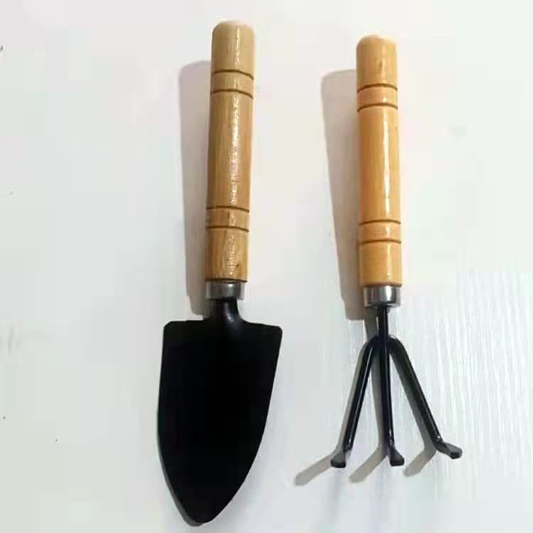3Pcs Succulent Tools, This Tool Set is Especially Suitable for Office Gardening, Desktop Gardening and Indoor Bonsai,It Helps You All Kinds of Small Potted Plants,Meets Your Gardening Needs
