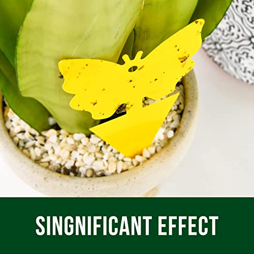 Garsum Gant Traps for Indoors,Fruit Fly Bugs Trap, Yellow Sticky Fungus Knit Killer for Houseplant,Mosquito, Flying Insert, White Flies,18 Pack