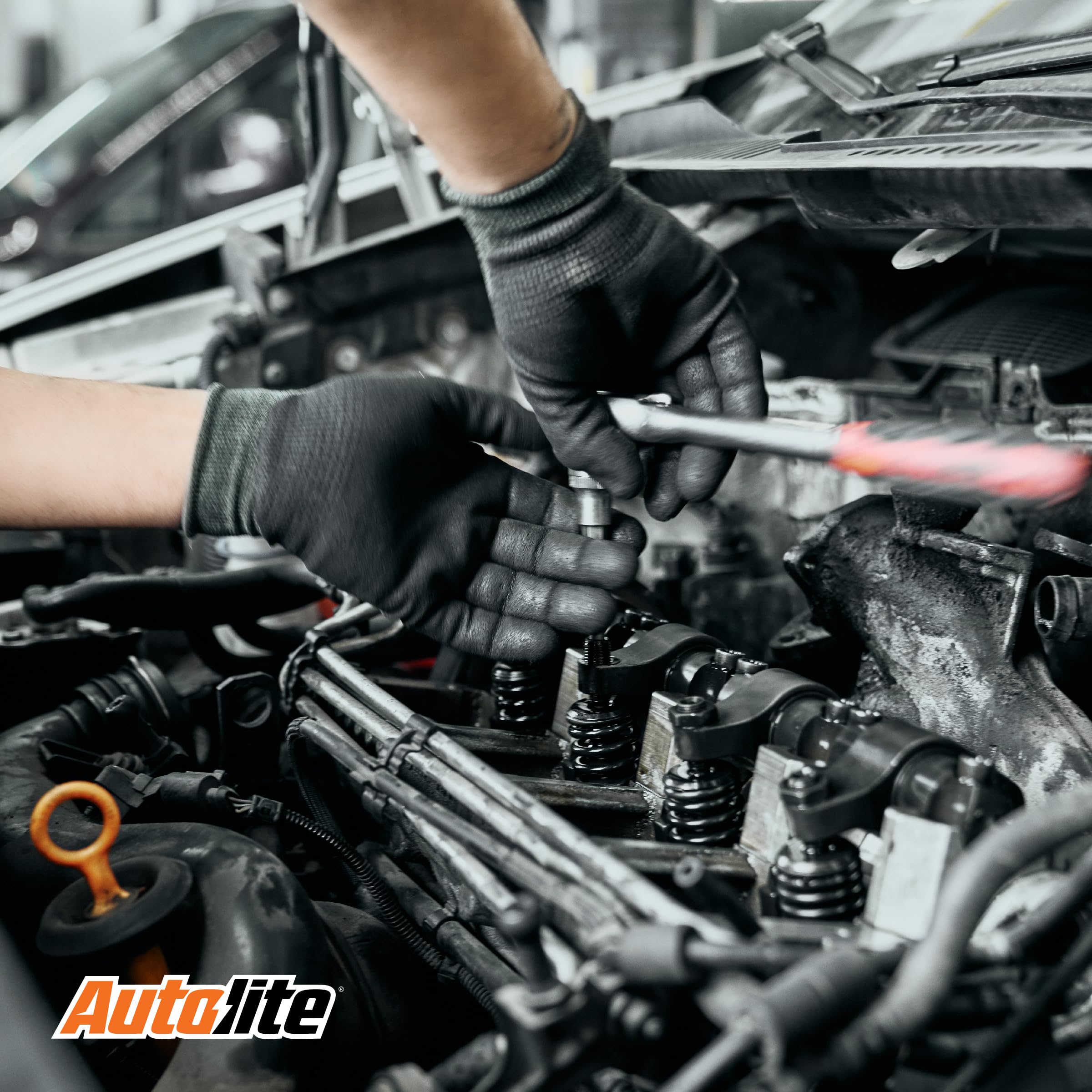 Autolite Iridium XP Automotive Replacement Spark Plugs, XP5703 (4 Pack)