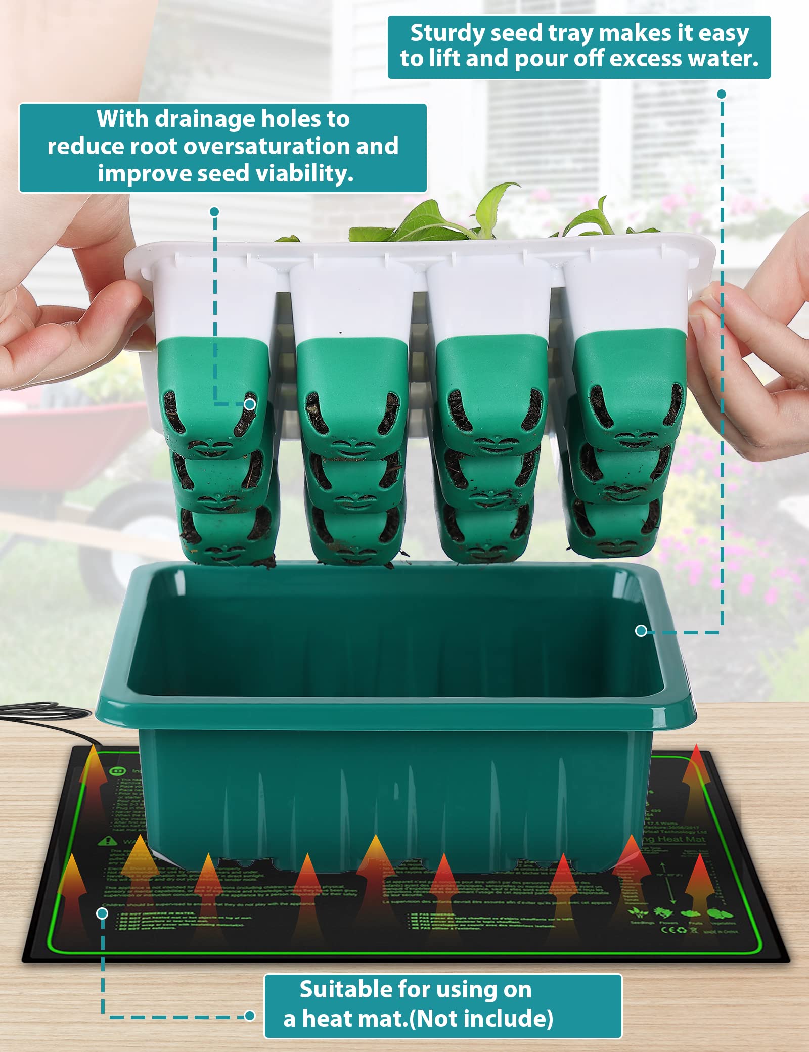 2 Packs Reusable Seed Starter Tray Kit with Humidity Dome, 12 Cell Seed Starting Tray(24 Cell Total Tray) for Starting Vegetable Seeds, Flower Seeds, Herb Seeds, Indoor Grow Kit for Plant Seedlings