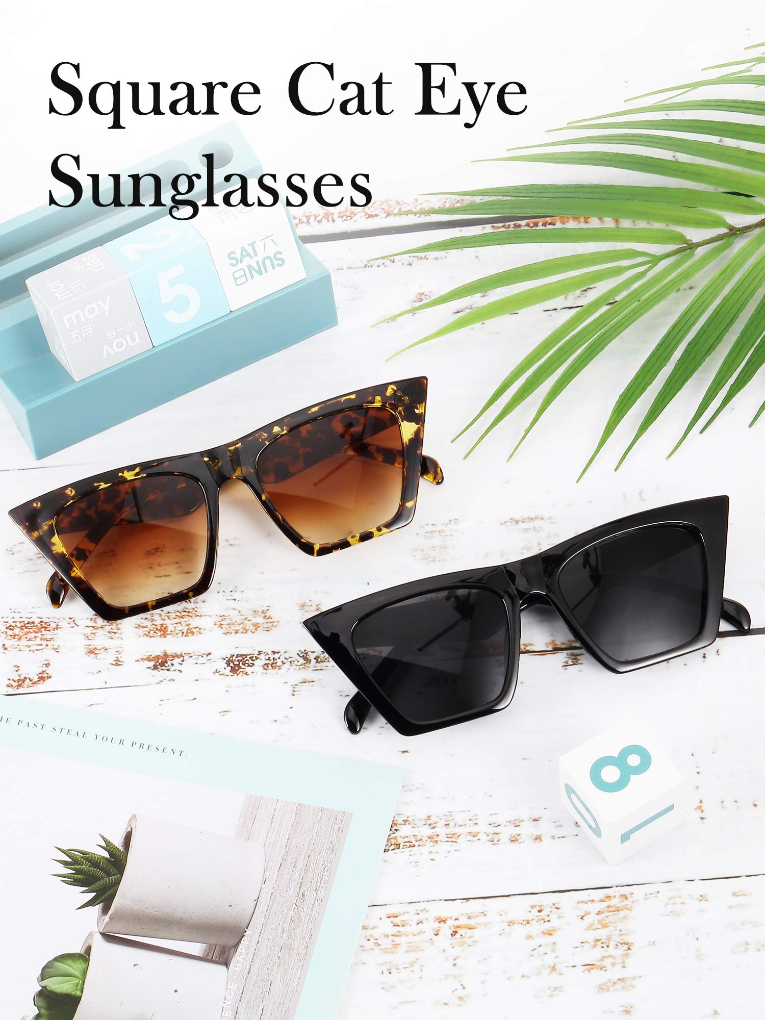 2 Pair Vintage Square Cat Eye Sunglasses Women Retro Trendy Cateye Sunglasses