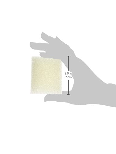 AquaClear 20 Foam