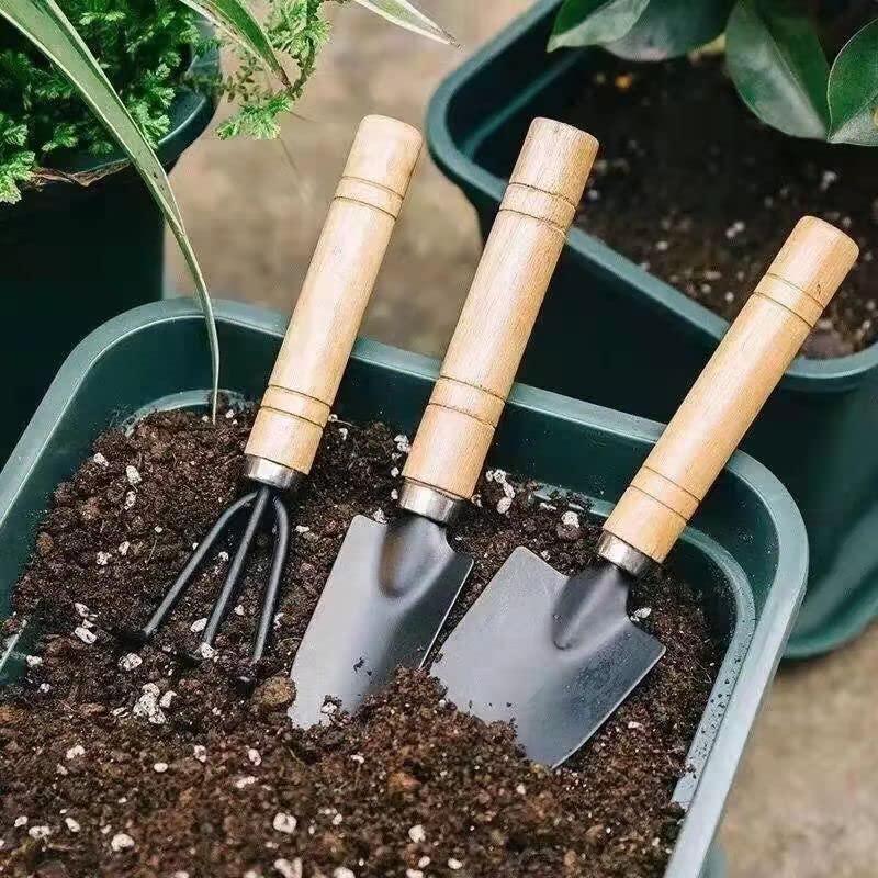 3Pcs Succulent Tools, This Tool Set is Especially Suitable for Office Gardening, Desktop Gardening and Indoor Bonsai,It Helps You All Kinds of Small Potted Plants,Meets Your Gardening Needs