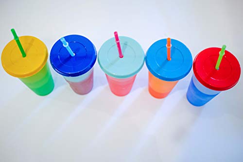 Color Changing Cups: 24oz Cold Cups - 5 Reusable Cups, Lids and Straws - Stocking Stuffers - Christmas Present, Set of 5, …