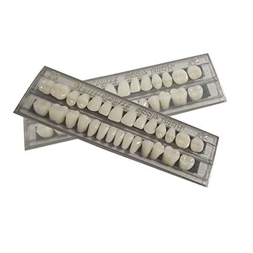 56 Pcs False Teeth Dental Complete Acrylic Resin Denture Teeth, 2 Set Whole Teeth Synthetic Polymer Denture Tooth, 23 Shade A2 Upper + Lower Dental Materials for Replacement, DIY, or Halloween