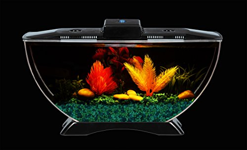 BettaTank 1-Gallon Deco Fish Tank with LED Lighting