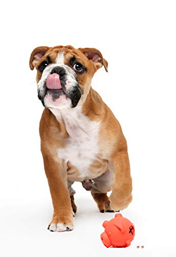 Hartz Tuff Stuff Treat Hogging Piglet Dog Toy Treat Dispenser for Dogs, 1 Count