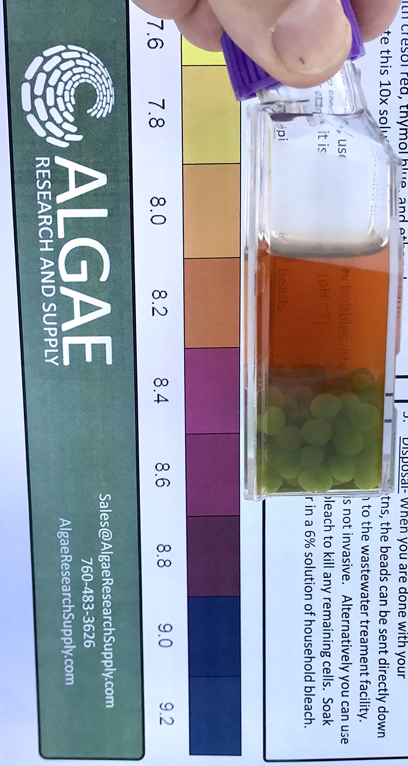 Algae Research and Supply: Algae Beads (Ready-to-go Algae Beads in Indicator- snap vials (x10))