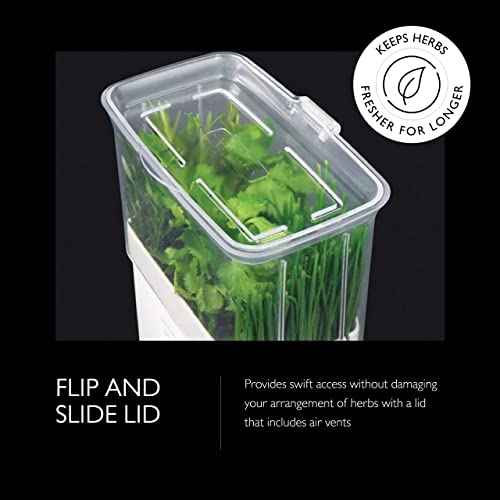 COLE & MASON Fresh Herb Keeper, Container, Clear