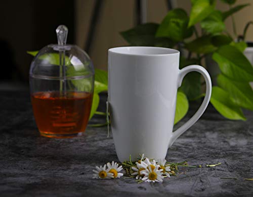 Amuse- Professional Barista Large Cozy Tall Mug for Coffee, Tea or Latte - Set of 6-16 oz