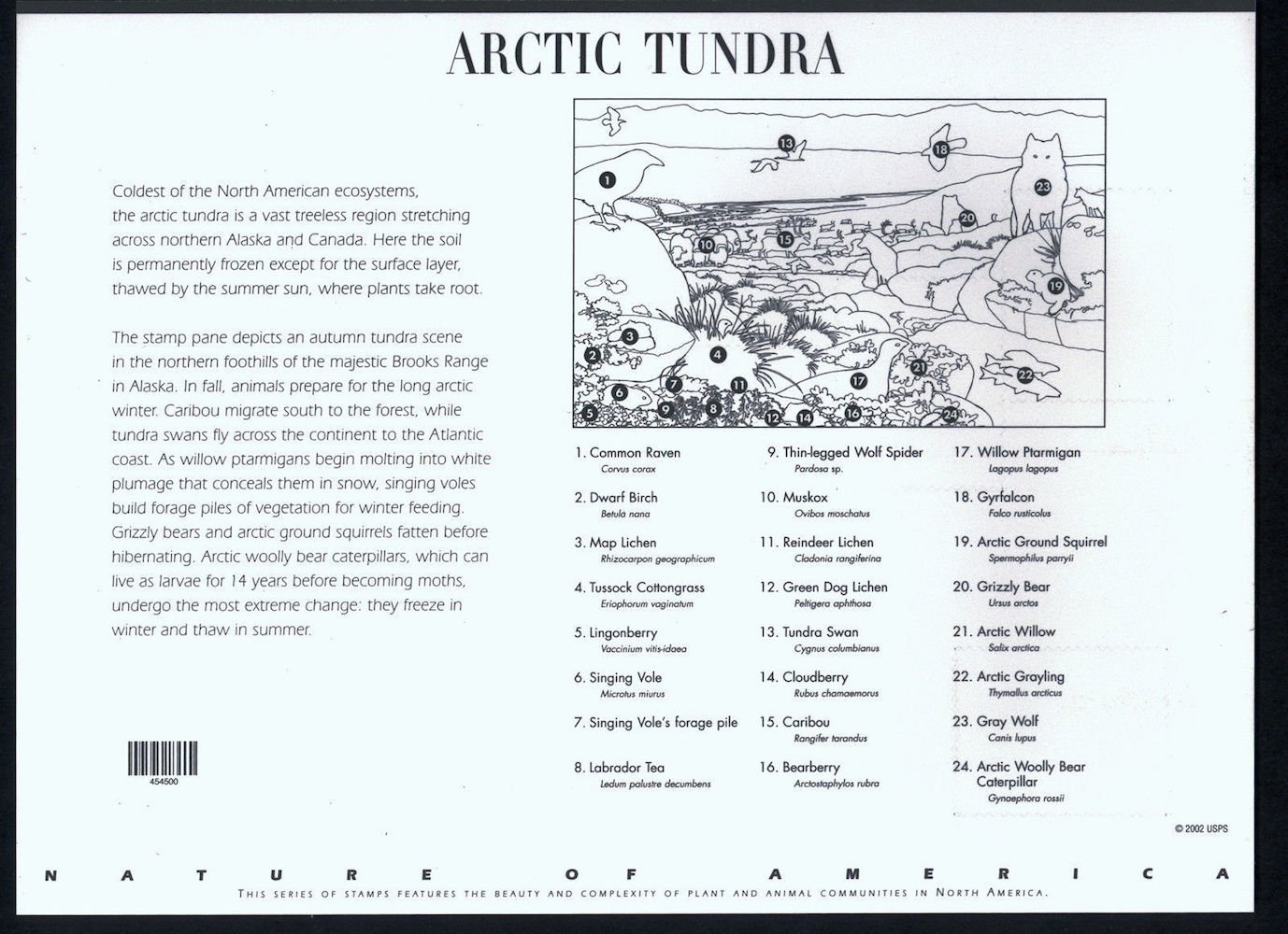 Arctic Tundra, Full Sheet of 10 x 37-Cents Postage Stamps, USA 2003, Scott 3802