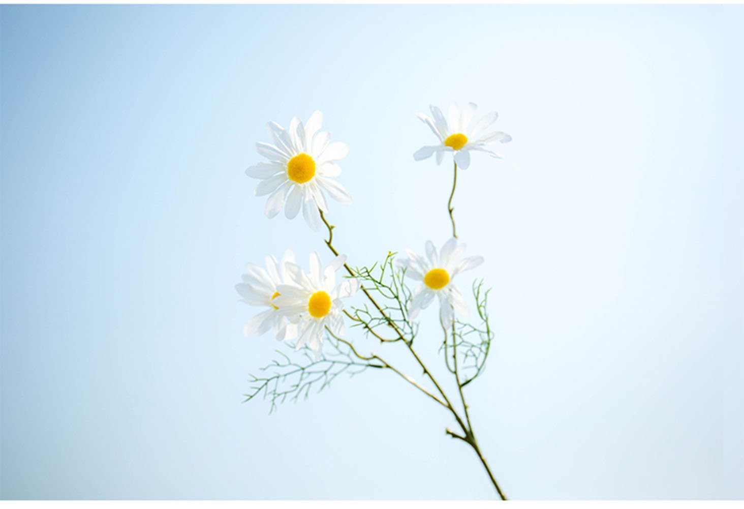 Artfen 10pcs Artificial Daisy Flowers Flower Arrangements for Home Hotel Office Wedding Party Garden Craft Art Decor Each Approx 21" High No Vase White