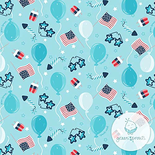 i Play Boys Reusable Absorbent Baby Swim Diapers Light Aqua Celebration 3T