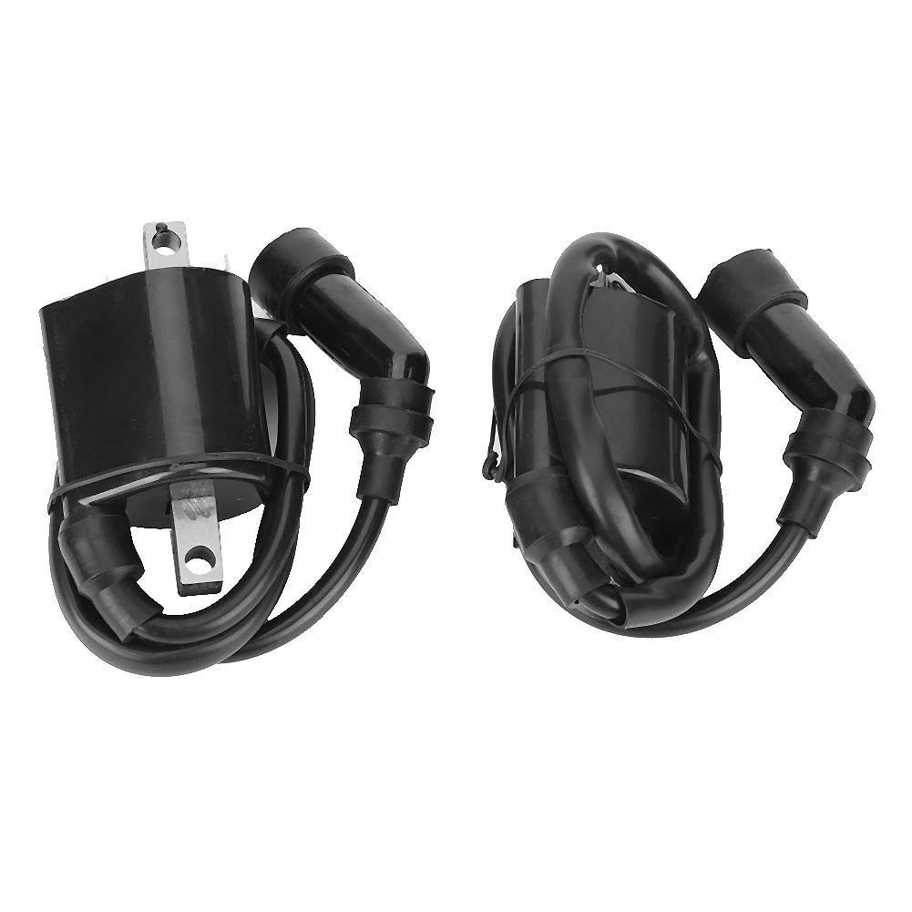 2Pcs Ignition Coils Assembly Engine Ignition Coil Pack for Yamaha XVS1100 V-STAR 1999-2009 Replace OEM 5EL-82320-00-00