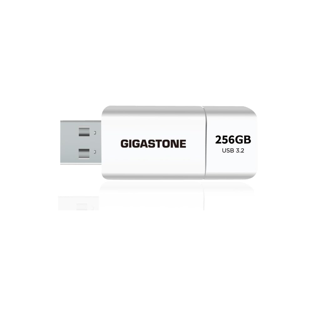 Gigastone Z60 256GB USB 3.2 Gen1 Flash Drive, R/W 120/80 MB/s Ultra High Speed Pen Drive, Capless Retractable Design Thumb Drive, USB 2.0 / USB 3.0 / USB 3.1 Interface Compatible.
