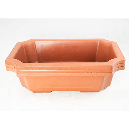 3 Pcs Used Rectangular Plastic Bonsai / Succulent Pots - 11.25"x 7.75"x 2.75"