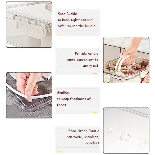 amokk Divided Serving Tray with Lid and Handle Snackle Box Charcuterie Container Portable Snack Platters Clear Organizer for Candy, Fruits, Nuts, Snacks, for Party, Entertaining, Picnic (Rectangular)