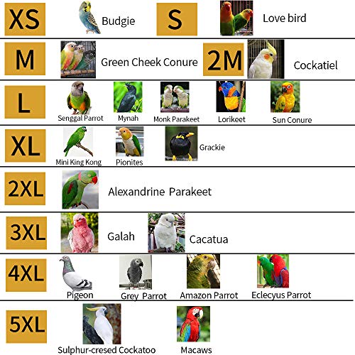 Bird Flight Harness Vest, Parrot Flight Suit with Leash for Parakeets Cockatiels Conures Budgies, Bird Flying Clothes with Rope and Handle for Outdoor Activities Training, Anti Bite (M, Blue)