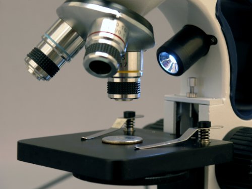 AmScope M158C-2L-PS25 Cordless Compound Monocular Microscope, WF10x and WF25x Eyepieces, 40x-1000x Magnification, Upper and Lower LED Illumination with Rheostat, Brightfield, Single-Lens Condenser, Coaxial Coarse and Fine Focus, Plain Stage, 110V or Batte