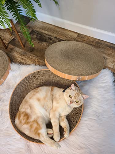 Cozy Cat Scratcher Bowl Replacement Pad (2 Pack), 100% Recycled Paper, Chemical-Free Materials (Regular, Oak)