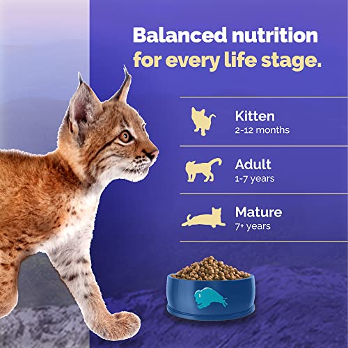 Blue Buffalo Cat Food for Kittens, Natural Chicken Recipe, High Protein, Dry Cat Food, 5 lb bag