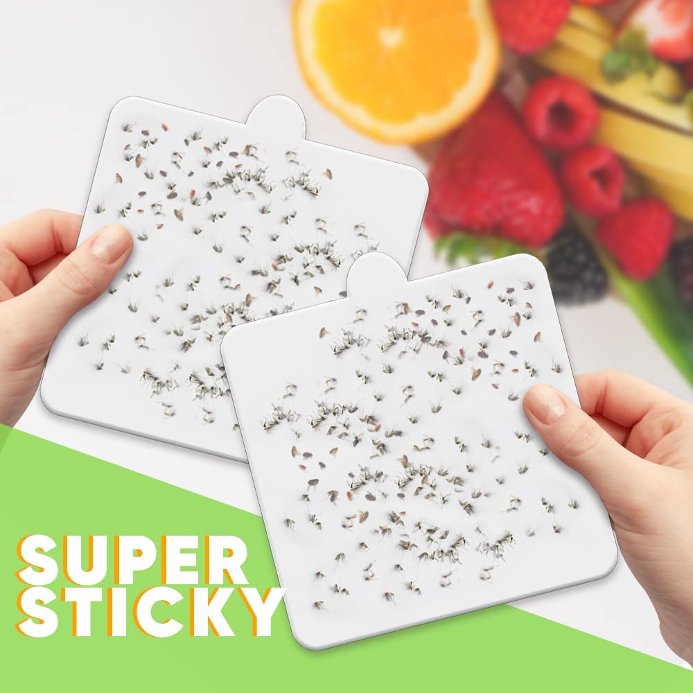25 PCS 6" Flea Trap Refills Compatible with Terro T230 T231 Indoor Electric Flea Light Flea Trap and Flea Killer, Flea Trap Refill Discs Replacement Glue Boards