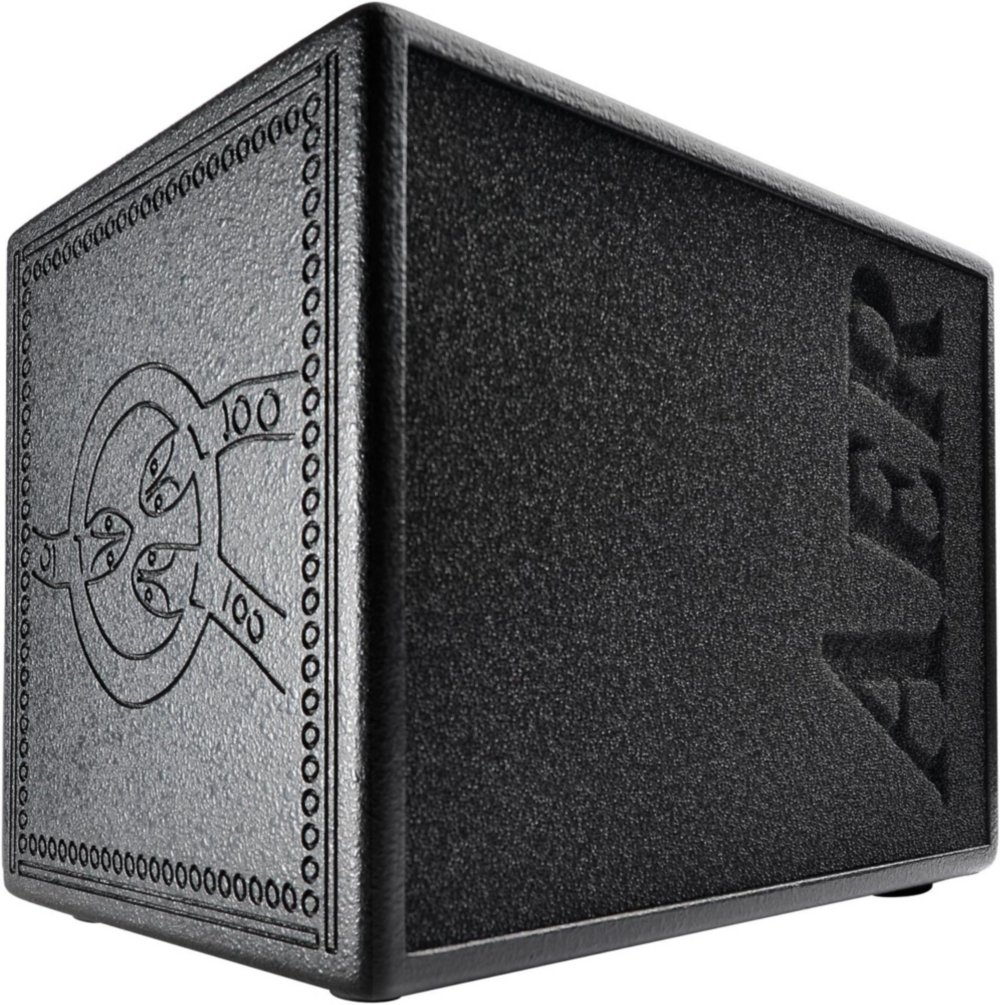 AER Tommy Emmanuel Signature Compact 60/3 60W 1x8 Acoustic Guitar Combo Amp