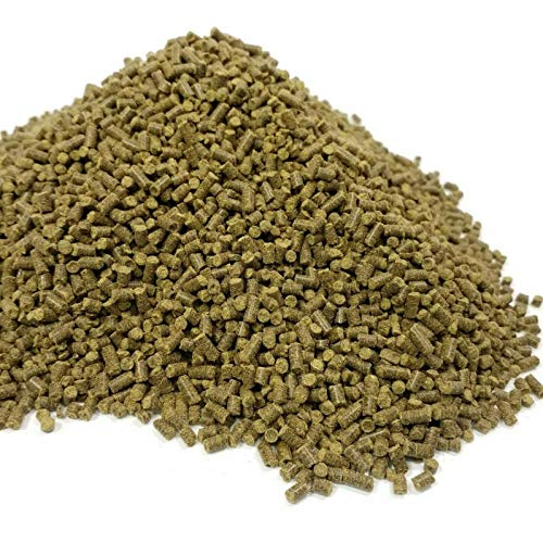 Aquatic Foods Inc. Pellets, Spirulina Sinking Pellets by Zeigler for Shrimp, Axolotls, Snails All Bottom Fish.1-lb