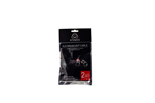 Atomos LEMO to Dual 3-Pin XLR Breakout Audio Input Cable for Shogun Monitor Recorder