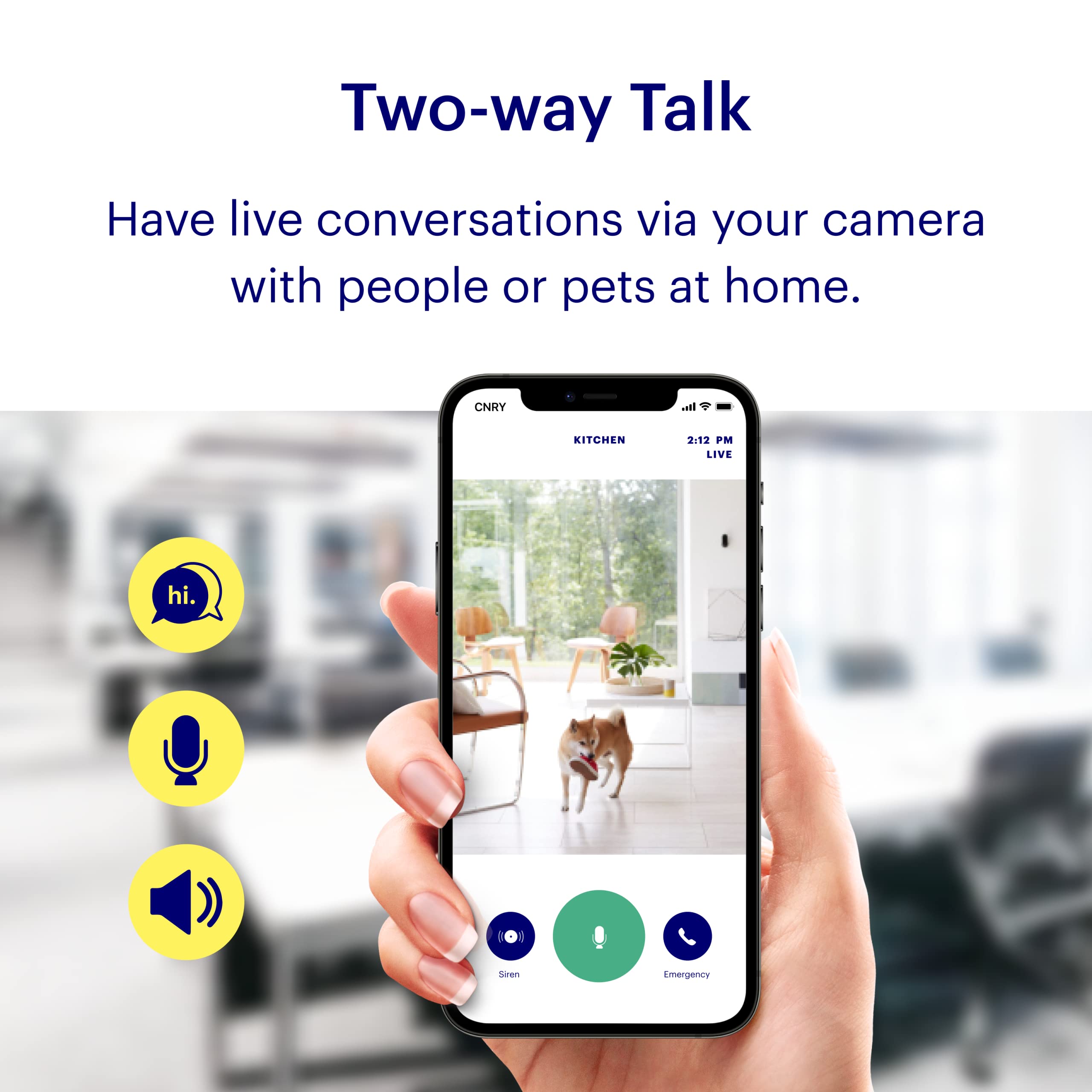 CANARY View: Indoor Security Camera | Home Monitoring, WiFi, Wide-Angle Lens, Motion Alerts, Compatible with Alexa & Google Home, Black
