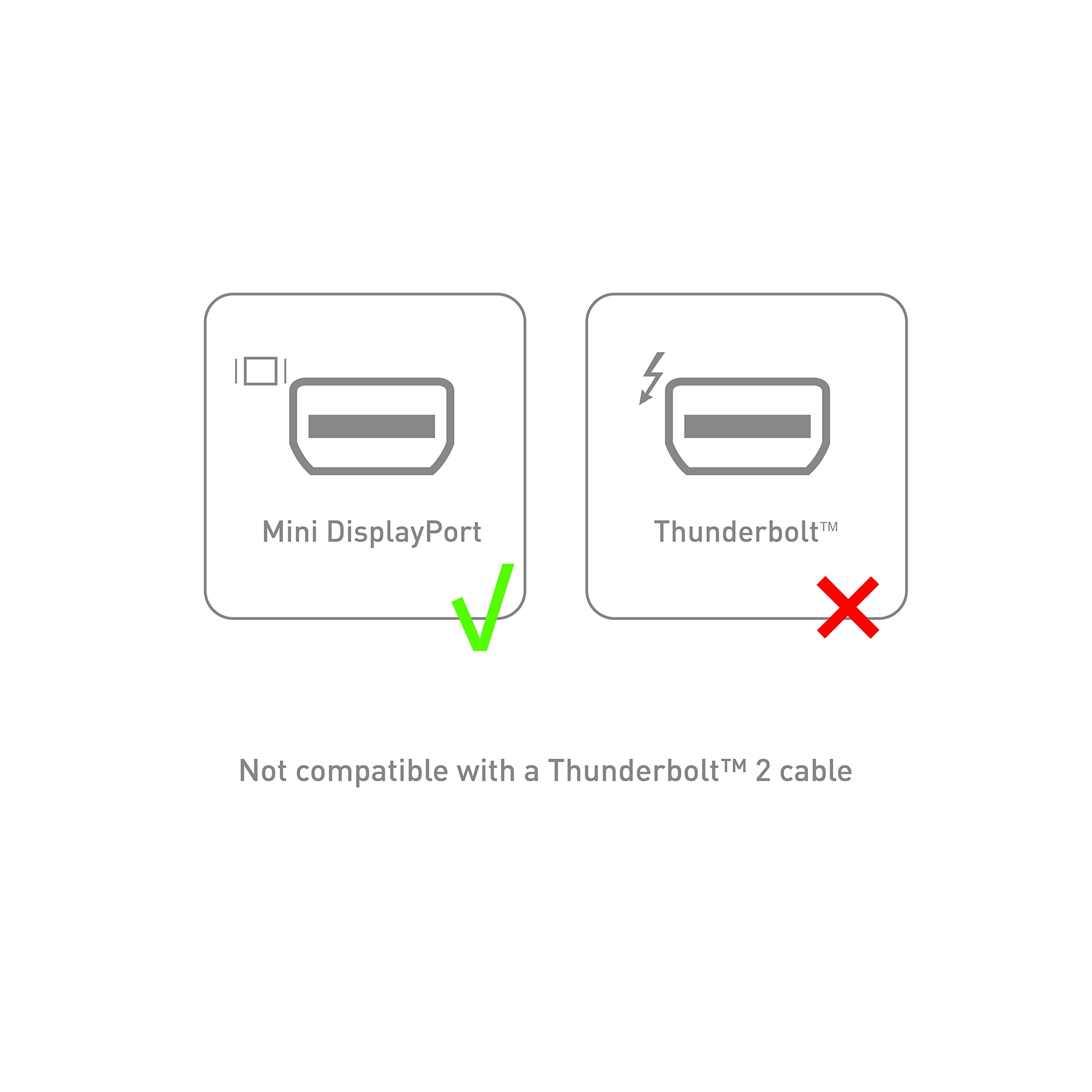 Cable Matters Mini DisplayPort Extension Cable (Mini DP Extension Cable) in Black - 6 Feet