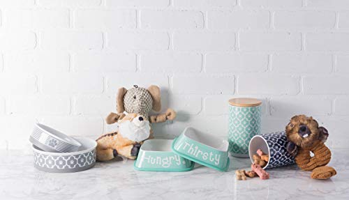 Bone Dry Lattice Pet Bowl, Removable Silicone Ring Creates Non-Slip Bottom for Secure Feeding & Less Mess, Microwave & Dishwasher Safe, Medium Set, 6x2", Gray, 2 Count