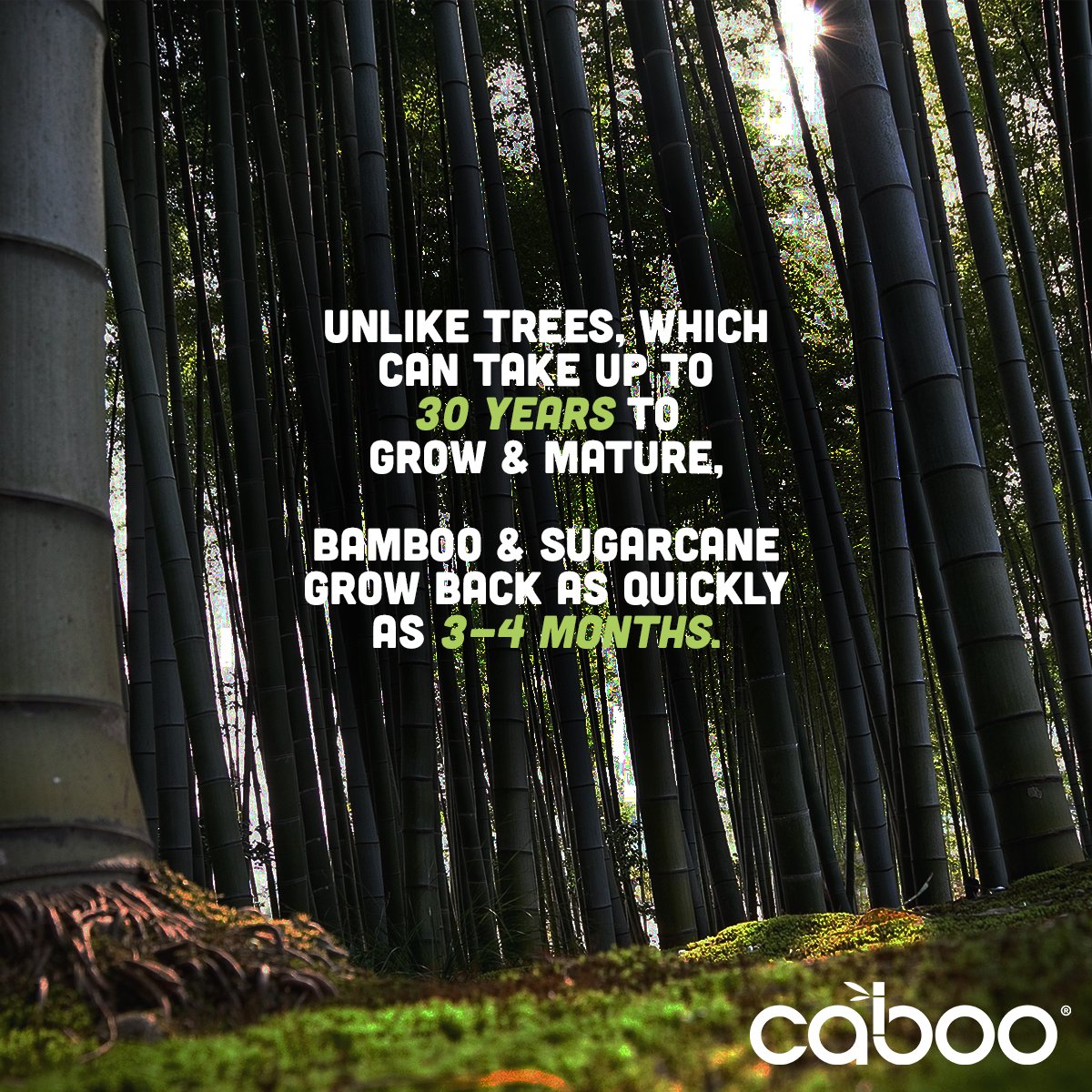 Caboo Tree Free Bamboo Baby Wipes, Eco Friendly Naturally Derived for Sensitive Skin, Resealable Peel Tab Travel Pack, Unscented, 30 Count
