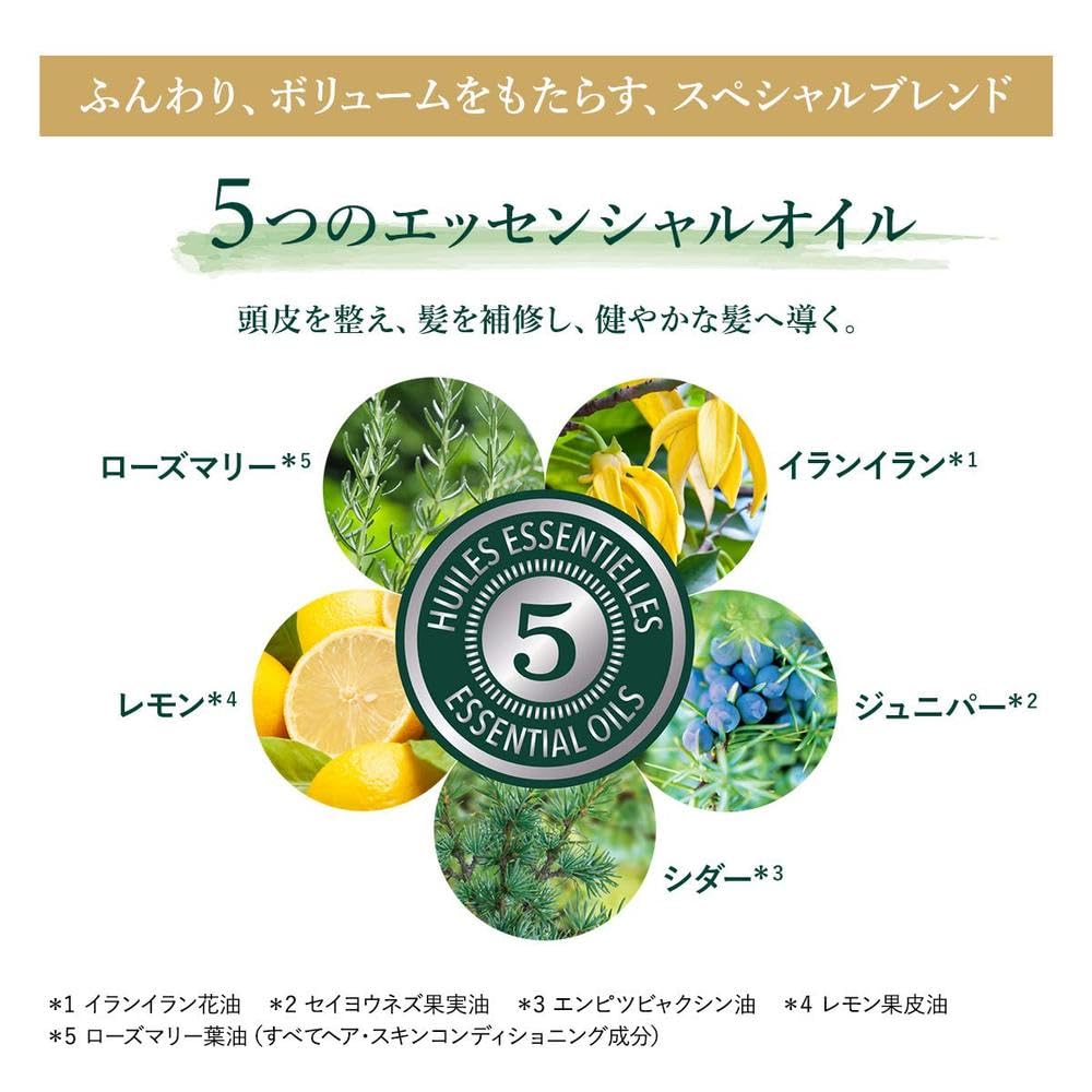 L'OCCITANE Aromachologie Volume & Strength Shampoo 10.10 fl. Oz
