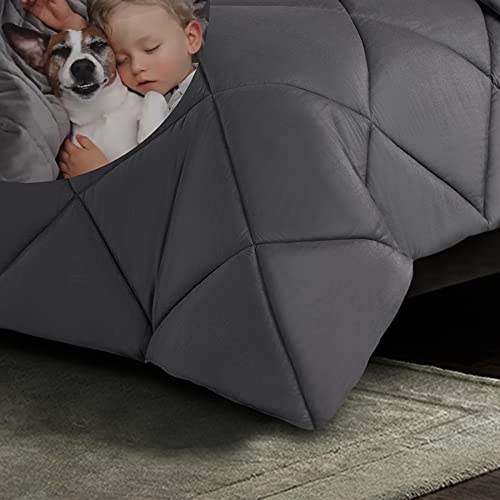 TOPLUXE Queen Comforter Set, All Season Quilted Duvet Insert with 2 Pillow Shams, Microfiber Bedding Comforter Sets Queen, Lightweight (Queen, Grey)