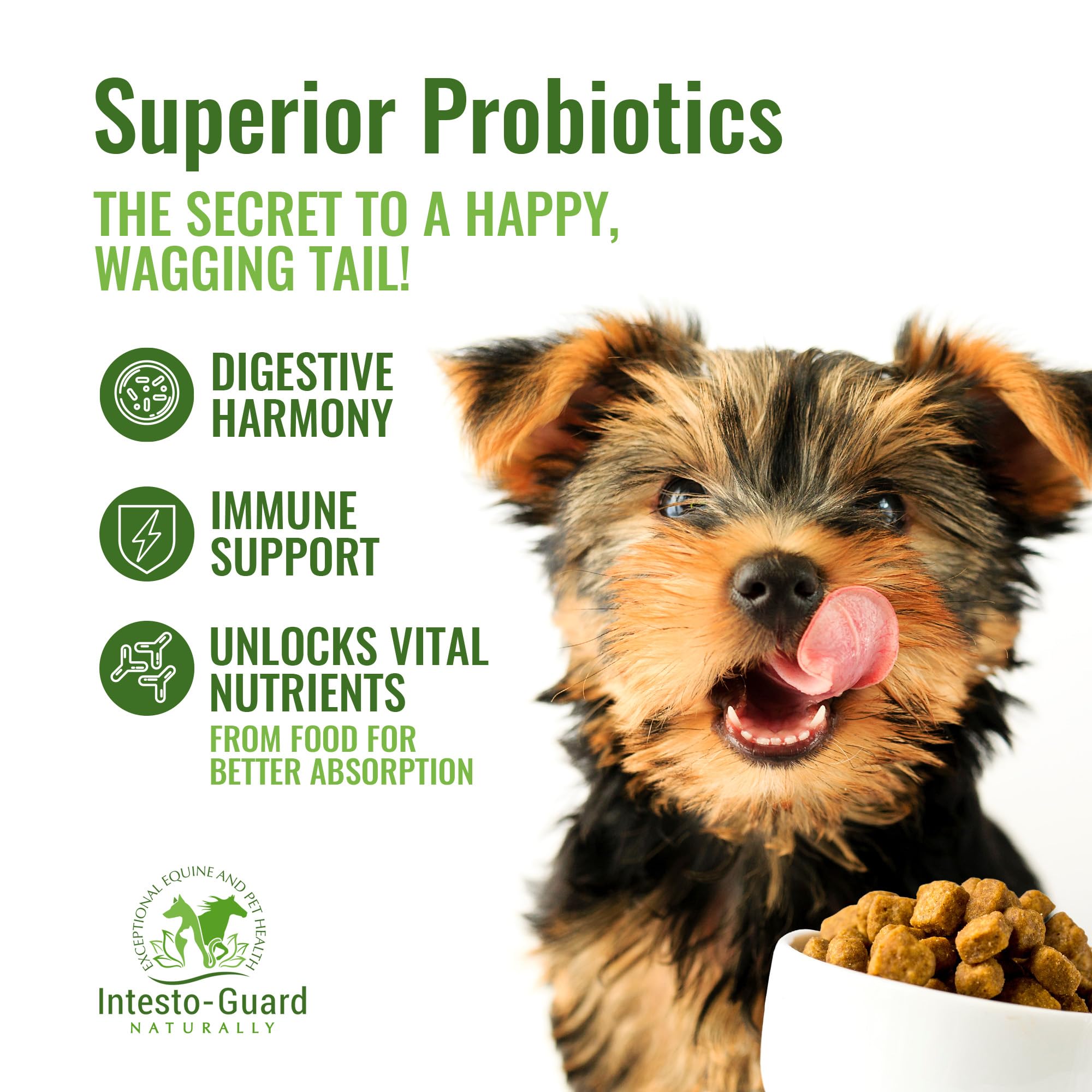 Powder Probiotics 90 Scoops for Dogs & Cats Bowel Digestive Immune Support Supports Gut Flora Nutrition Immunity 180G Bottle - 90 Scoops (Powder)