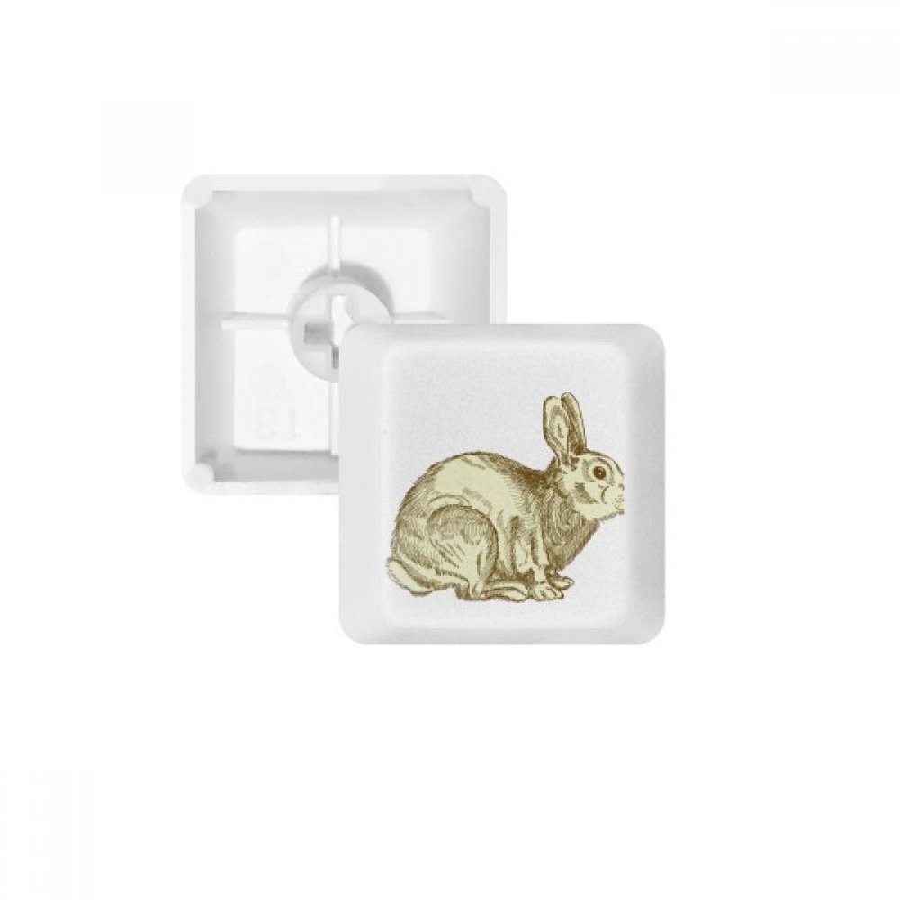 DIYthinker Easter Religion Festival Bunny Culture Keycap Mechanical Keyboard PBT Gaming Upgrade Kit