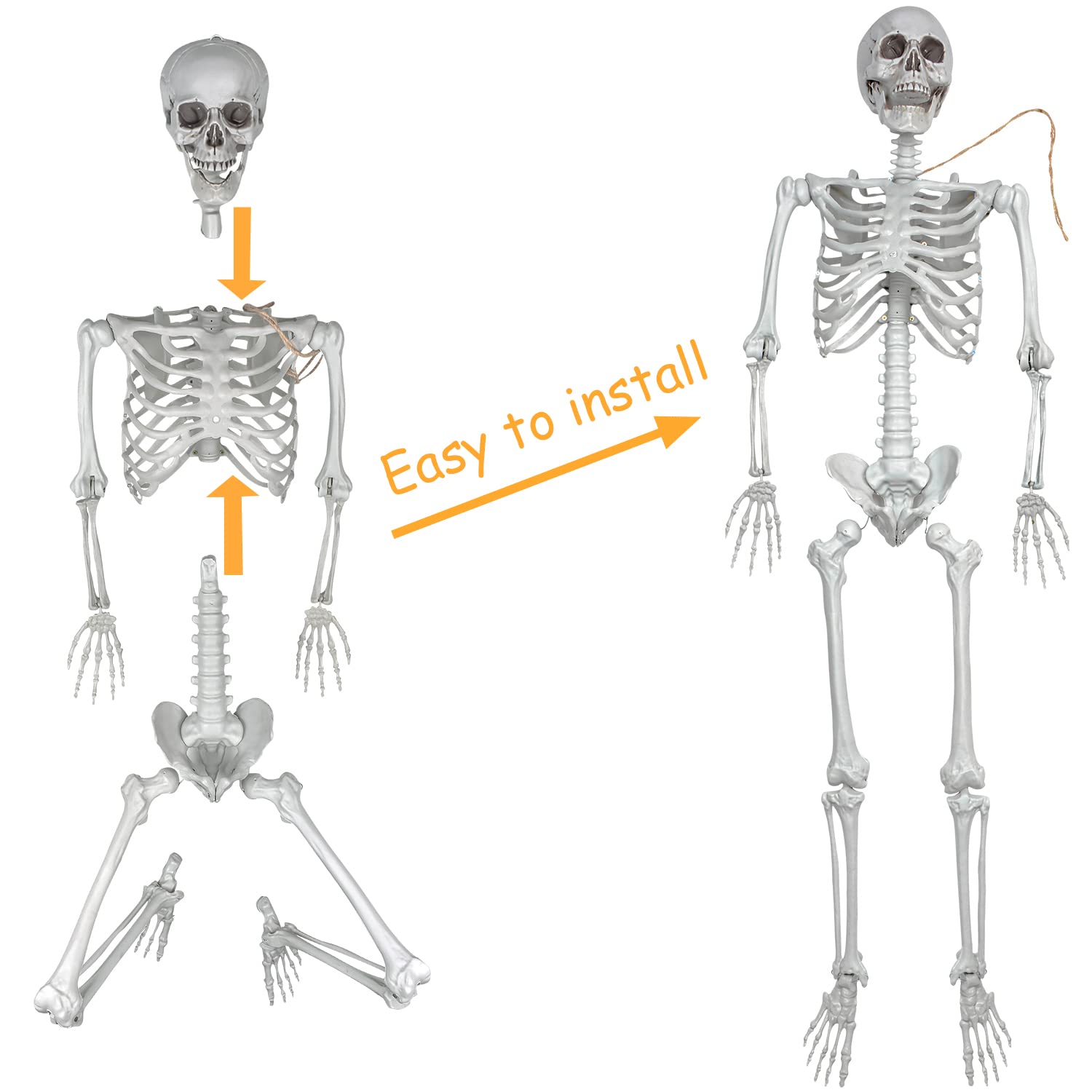 2Packs 5.4ft Halloween Human Skeletons Life Size Full Body Bones with Movable Joints for Halloween Props Spooky Party Decoration