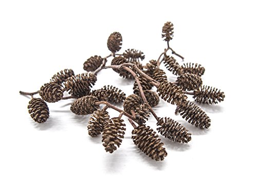Aquatic Arts 50 Alder Cones | Shrimp Aquarium Decorations |pH Reducer & Buffering Water Treatment |Freshwater Fish Tank Supplies/Accessories