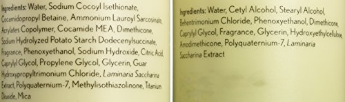 Aveeno Active Naturals Pure Renewal Shampoo and Conditioner Set, 10.5 Fluid Ounce each