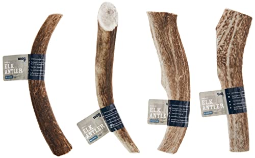 Amazon Brand - Wag Elk Antler - Whole - X-Large 9.5-10.5 inches (Best for Dogs over 45 lbs)