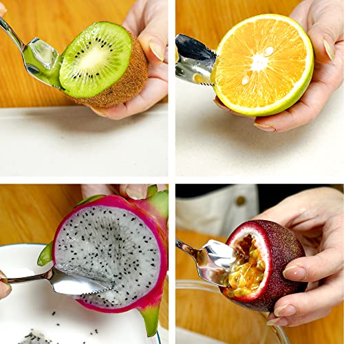 Better Houseware Grapefruit Spoons ,Set of 2 Grapefruit Spoons serrated stainless steel ,grapefruit spoon Baby fruit spoon scraper, Spoons with Serrated Edges for Orange & Kiwi, Ginger Peeler