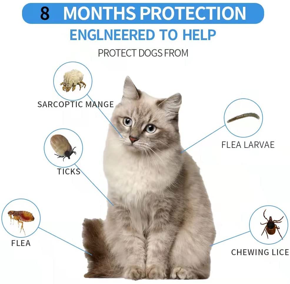 Advanllent Flea Collar for Cats, Flea and Tick Collars for Cats and Kittens, 8 Month Protection, Gray